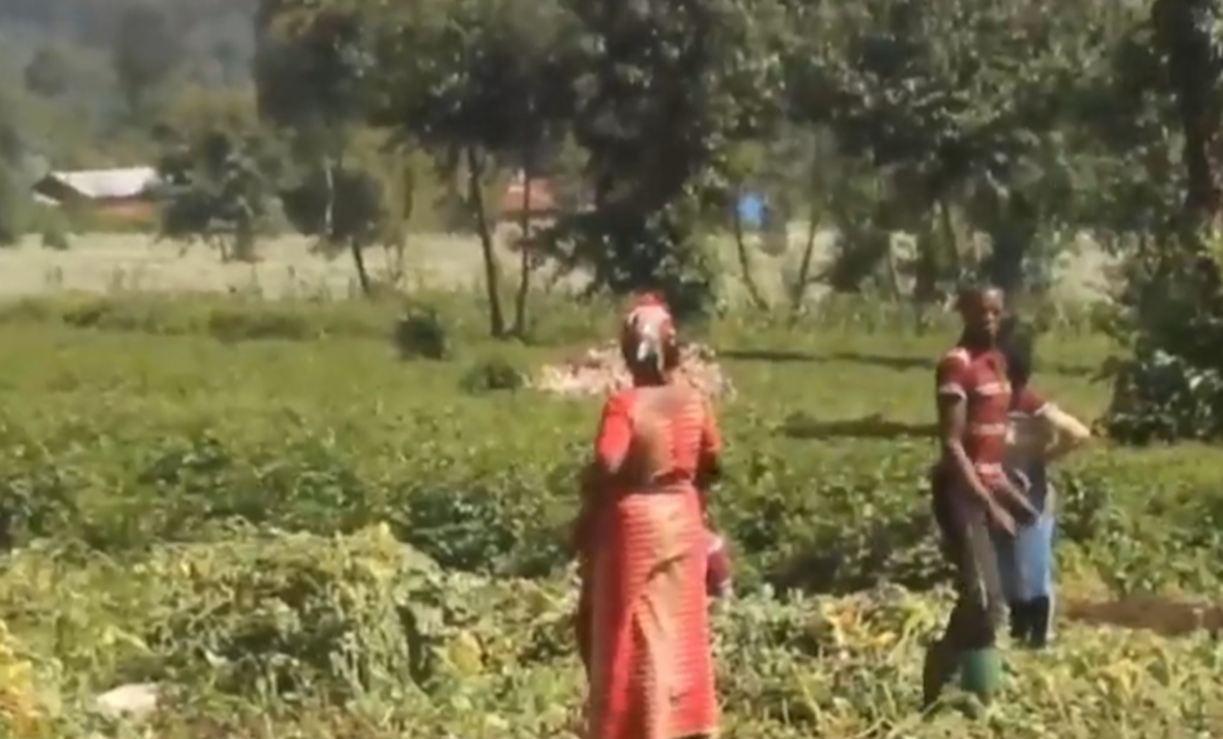 BTN Rwanda | Amakuru